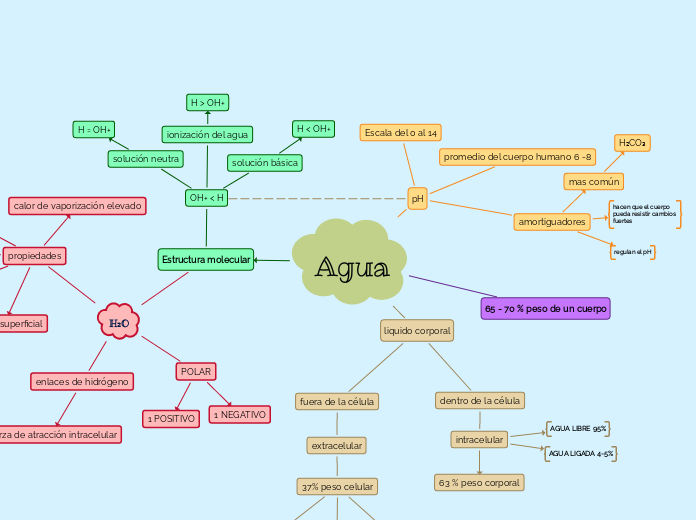 Agua - Mind Map